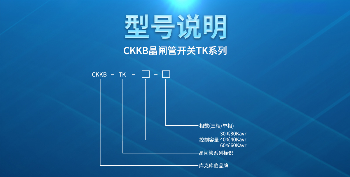 CKKB-TK系列_晶闸管投切开关|可控硅整流器-库克库伯电气（上海）有限公司