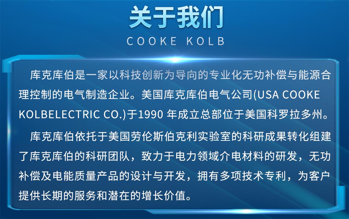 CKKB抗谐波型电力电容器-库克库伯电气（上海）有限公司